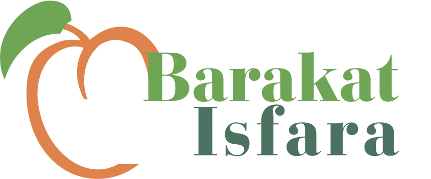 Глава Согда: первым делом предприятия и новые рабочие места - Barakat ...